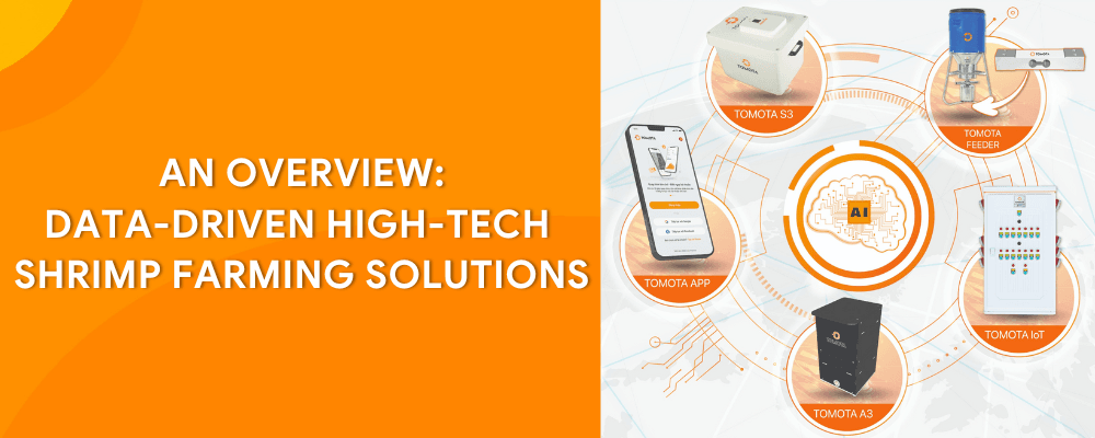 Overview of data-based high-tech shrimp farming solutions