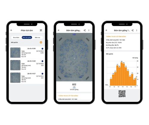 CÓ MÁY ĐẾM TÔM 6 GIÂY, NHIỀU TRẠI GIỐNG TẠI NINH THUẬN HOẠT ĐỘNG NĂNG ...