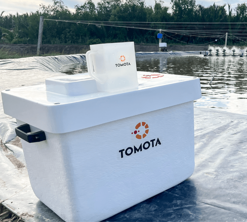 CÂU CHUYỆN MUÔN THUỞ TRONG NGÀNH TÔM: NỖI LO VỀ KÍCH THƯỚC TÔM PHÁT ...