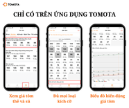 XEM GIÁ TÔM HẰNG NGÀY Ở ĐÂU?